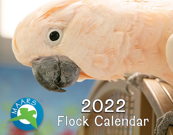 MAARS 2021 Update and Holiday Greeting - MAARS