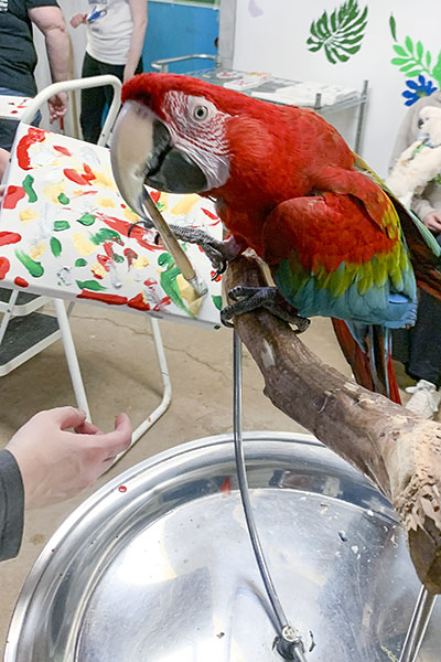 MAARS Apollo 2022-01 - MAARS